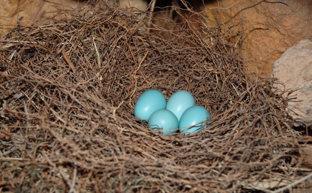 A peek into the life of a national treasure – il-merill - Times²