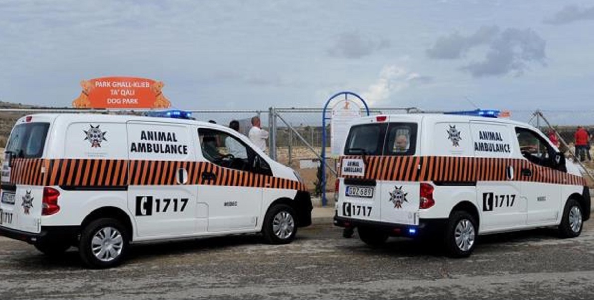 Spotlight on animals: when should you call the Animal Welfare ambulance ...