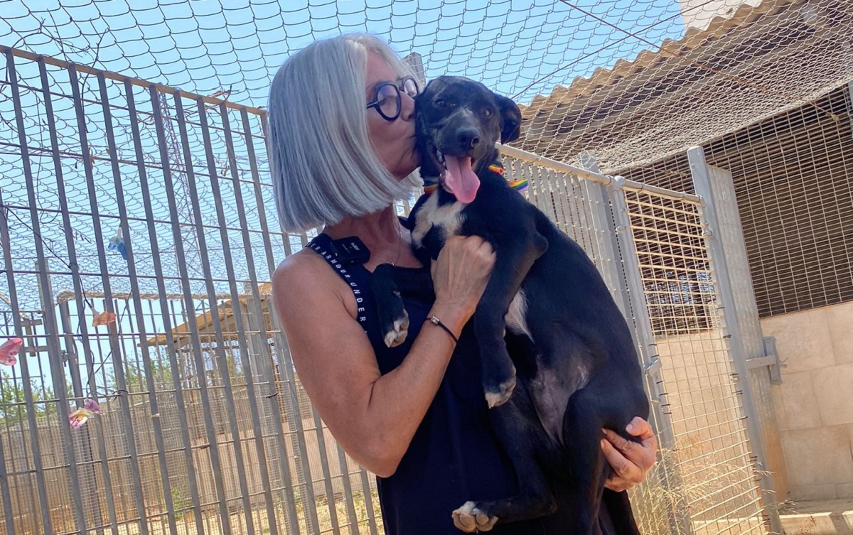 New TV show will help 13 dogs find their forever home - Times²