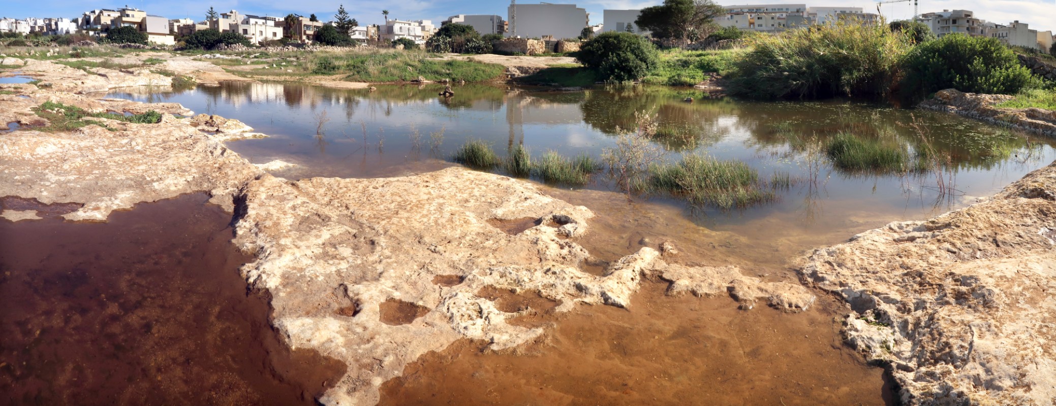 Tal-Wej: an unexpected gem of nature and history in an urban setting ...