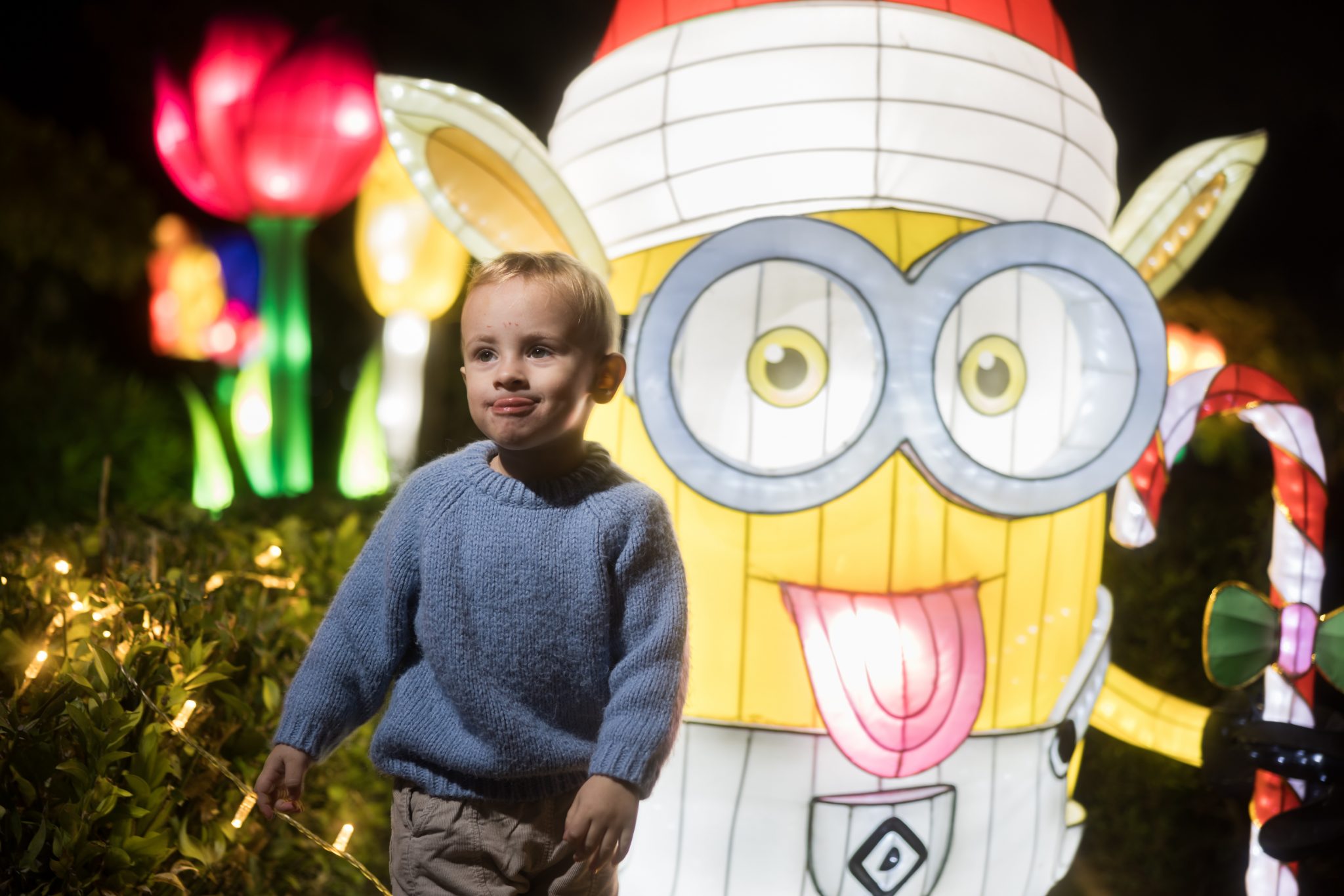 The Magical Illuminated Trail is back at Verdala Palace - Times²