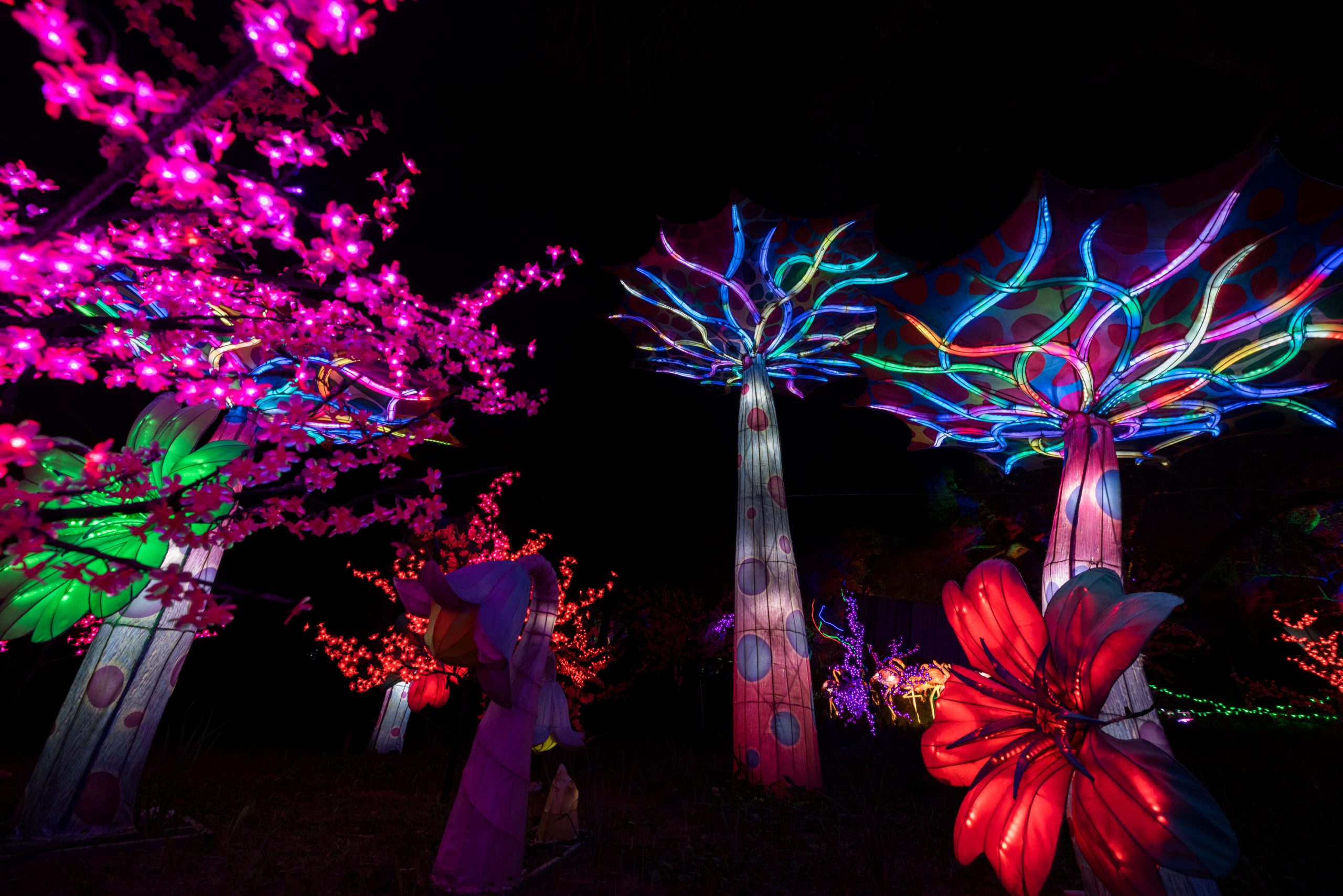 The Magical Illuminated Trail is back at Verdala Palace - Times²