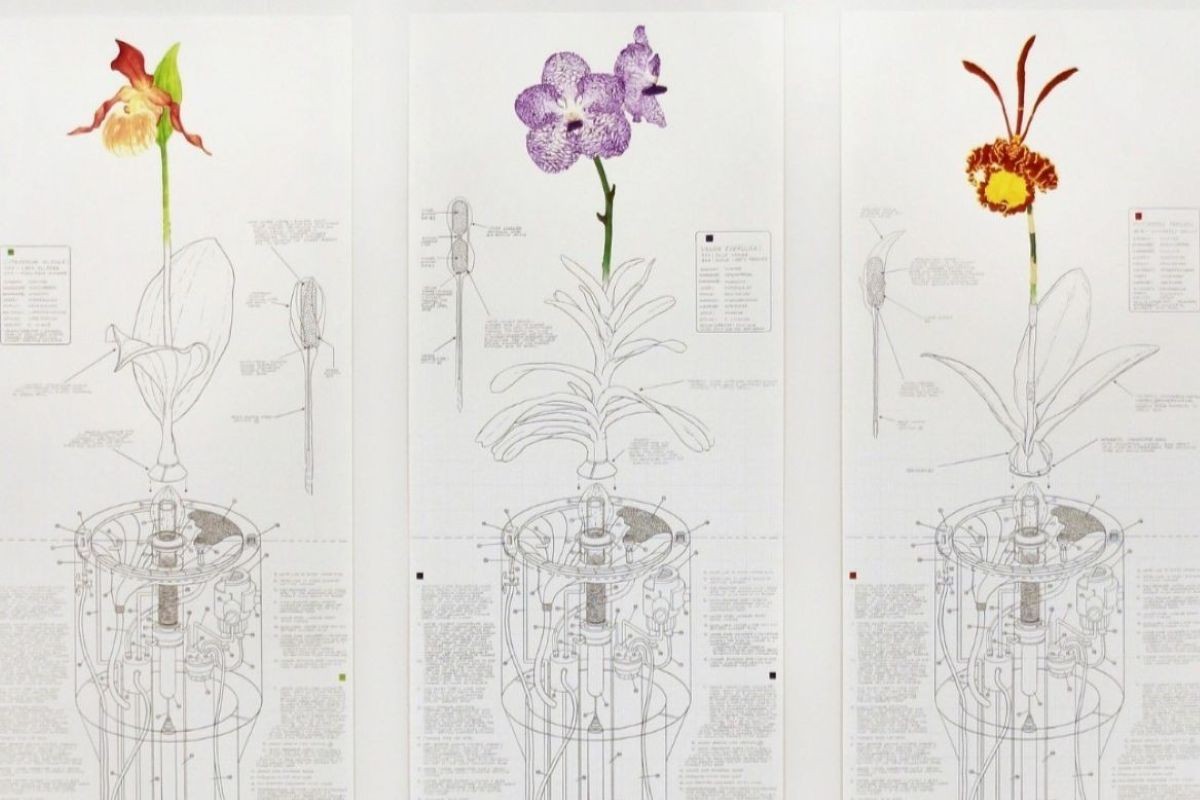 Mechanical orchids recall human intervention on nature - Times²