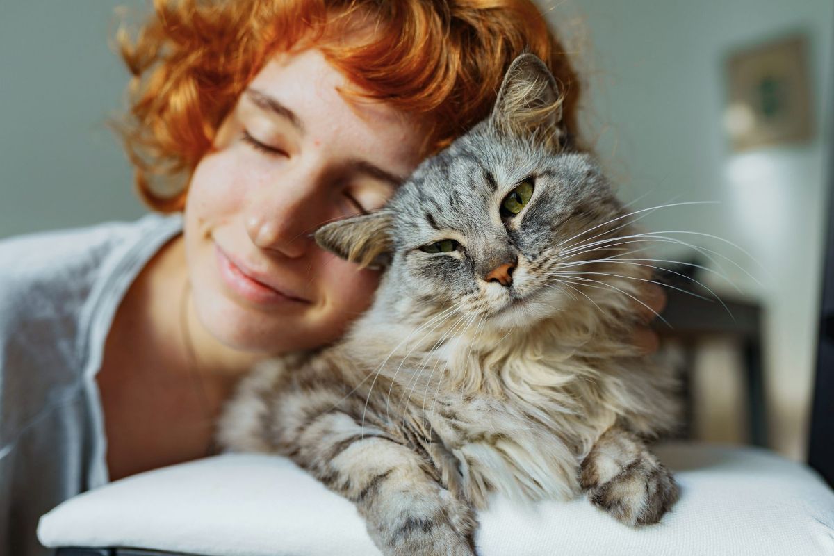 Cats get dementia too – here are the eight signs to look out for - Times²