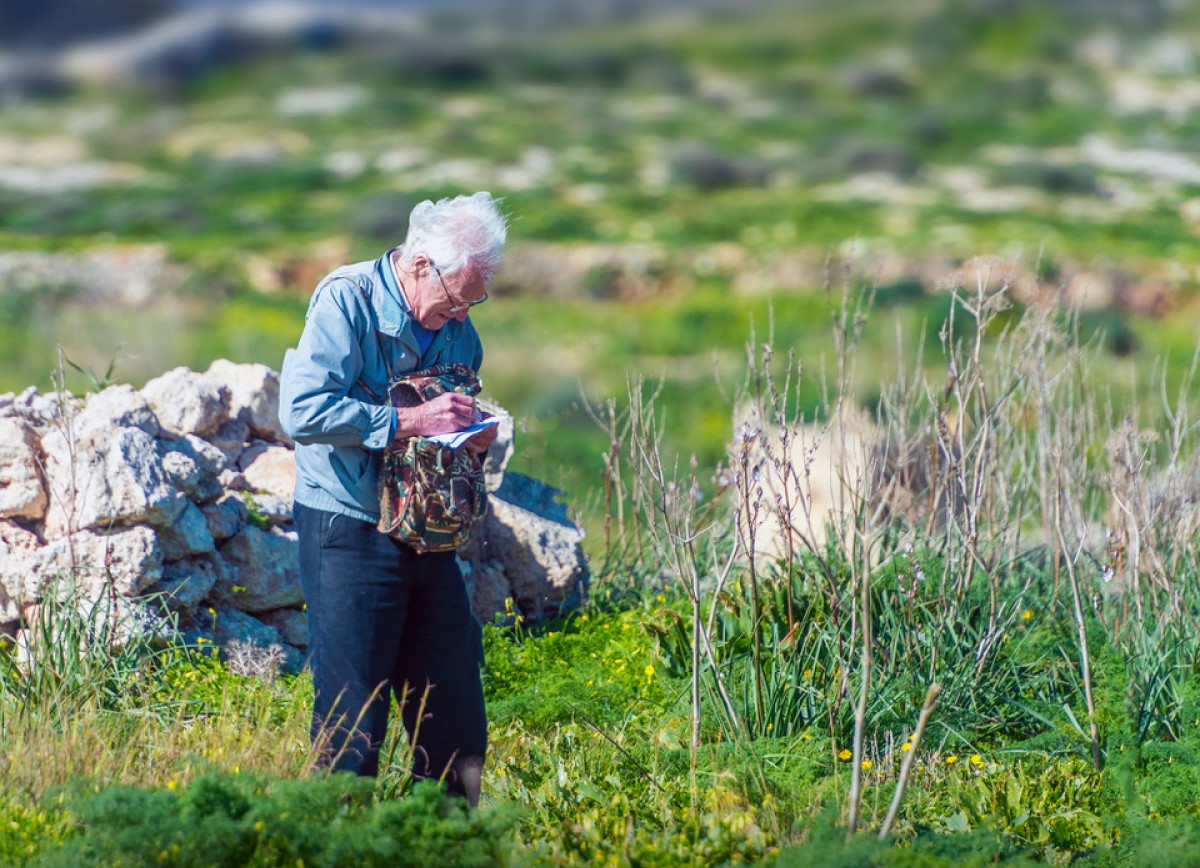 61 years of archaeology in Gozo - Times²